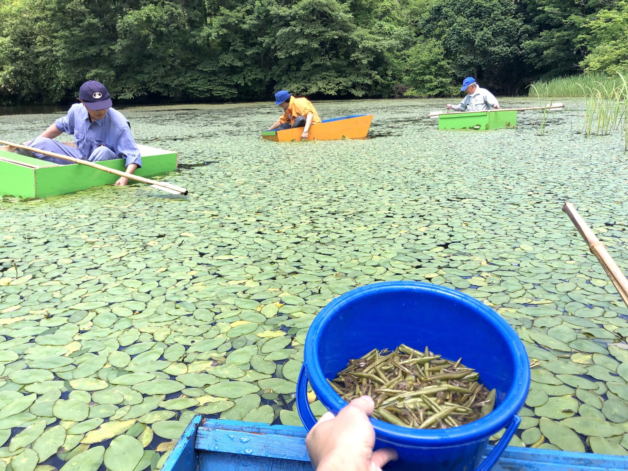 【連載】ほぼ季刊「庄内里山わぐわぐlog」じゅんさいど、「大」文字ど、芸術祭ど。ゆる〜ぐ激走した2023年。 | CradlePlus 山形県庄内のウェブメディア